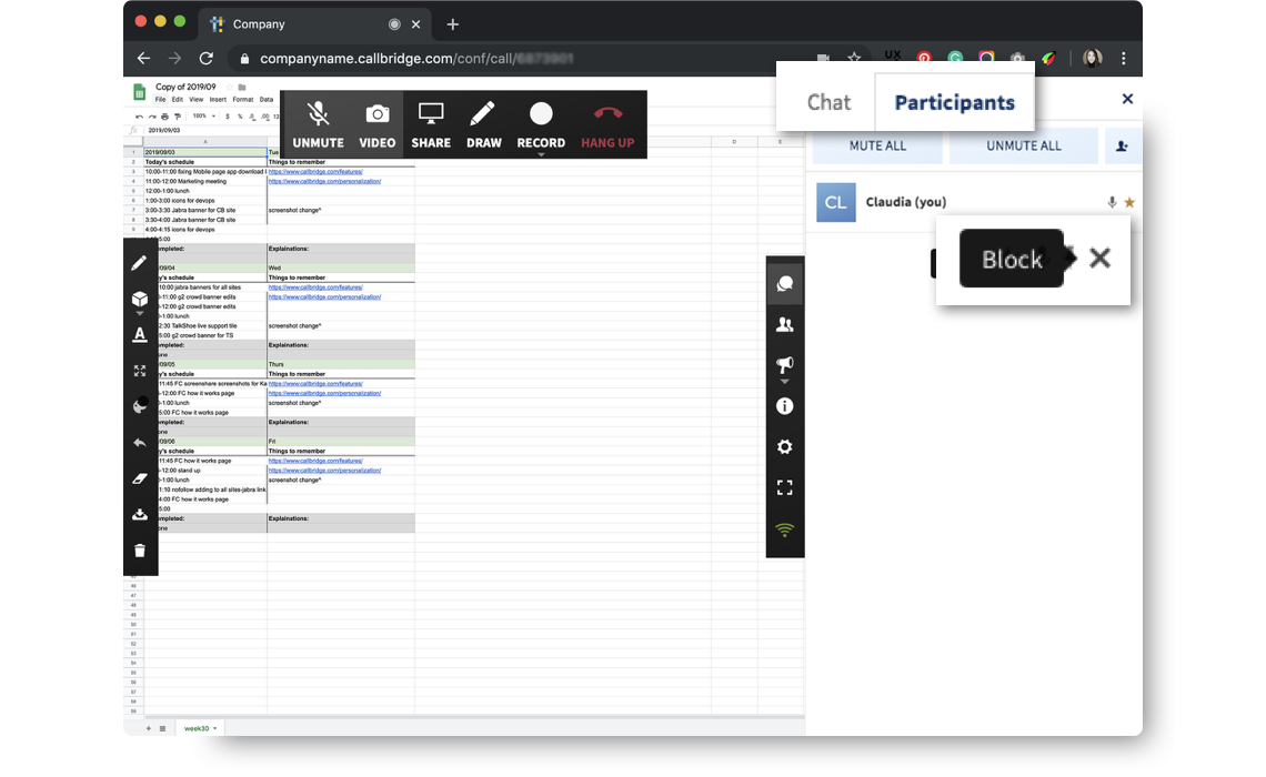 Moderator Controls with Online Meeting Software | Callbridge